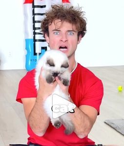 Topper Guild Net Worth, Age, Height, Girlfriend and Real Name